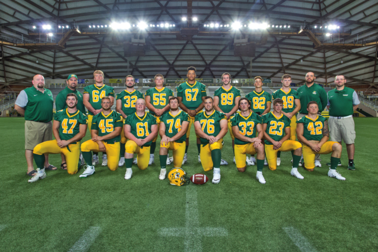U.P. well represented on Wildcats football team | News, Sports, Jobs ...